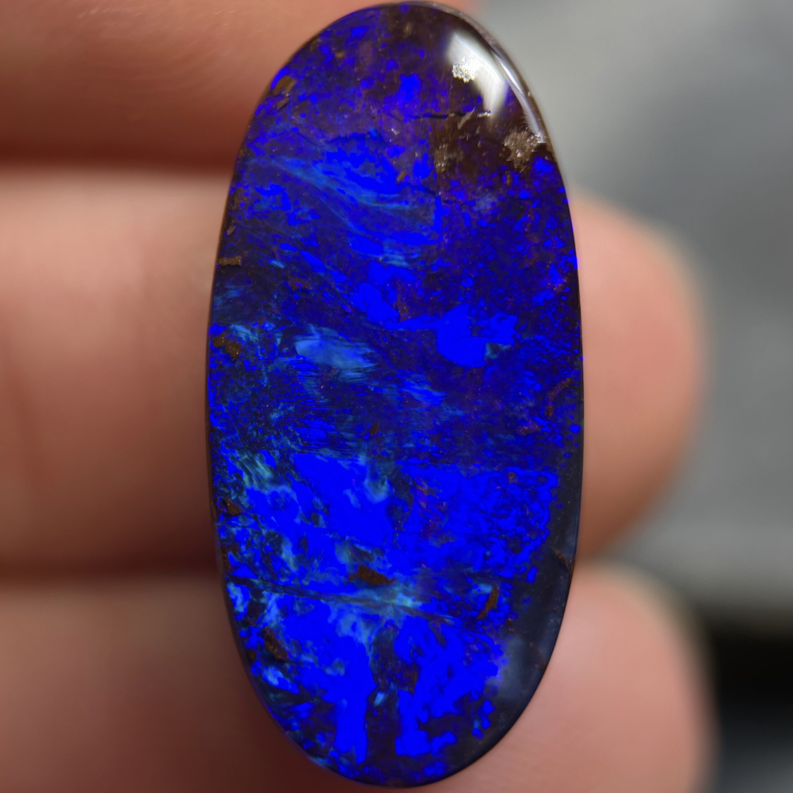 Royal Blue Boulder Opal